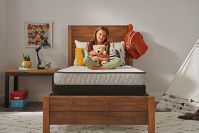 Click here for Sealy Canonbury Firm Twin Mattress prices