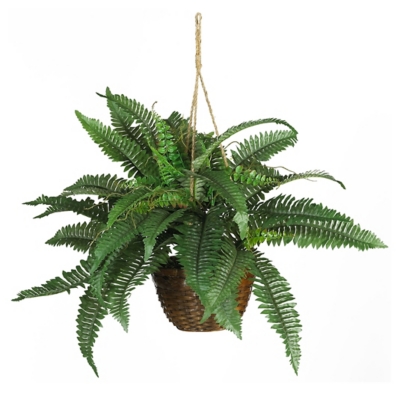 Click here for Boston Fern Silk Hanging Basket  Green prices