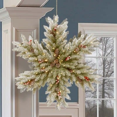 Click here for National Tree Company Snowy Dunhill Fir Double-Sid... prices