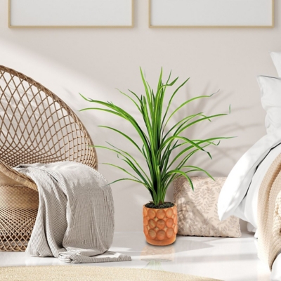 Click here for LCG Florals 38 Thin Dracaena in Terra Cotta Plante... prices