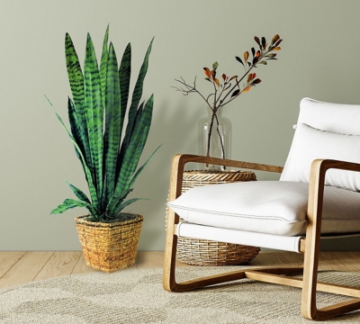 Click here for LCG Florals 38 Snake Plant in Square Basket  Green prices