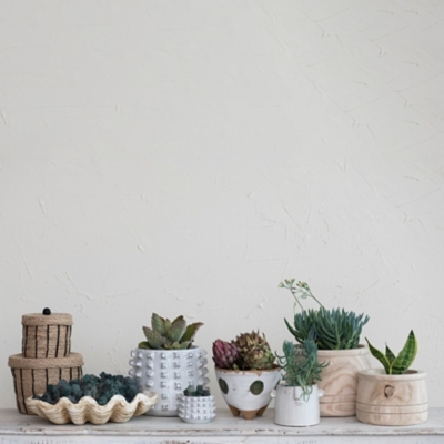 Click here for Storied Home Decorative Clamshell  Ivory prices
