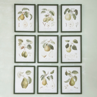Click here for Storied Home Orchard Pear Print Collection Wall De... prices