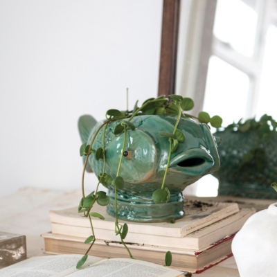 Click here for Storied Home Fish Planter  Turquoise prices
