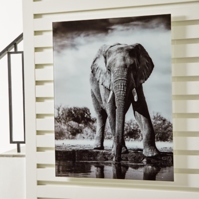 Click here for Glinyard Elephant Wall Art   Black/White prices