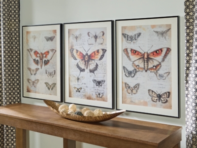 Click here for Jossletts Butterfly Wall Art (Set of 3)  Orange/Bl... prices