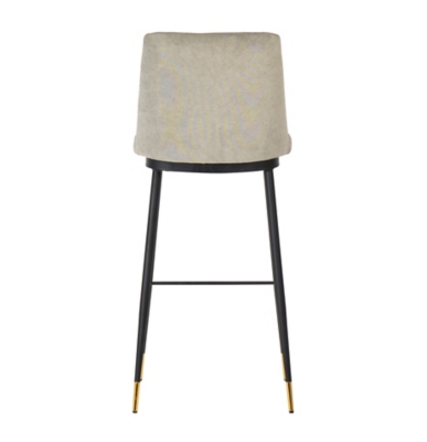 TOV Furniture Evora Counter Stool (Set of 2) | Ashley