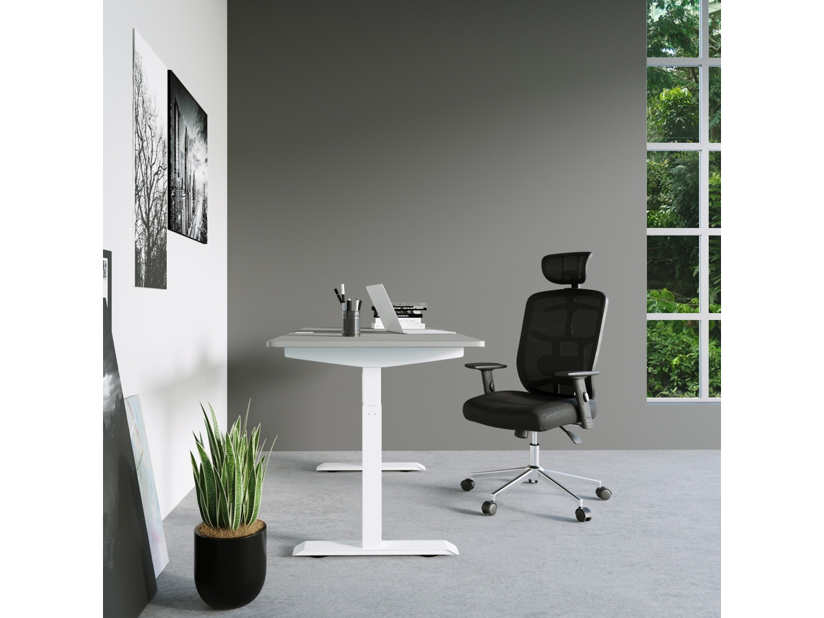 Techni Mobili High Back Executive Mesh Office Chair with Arms Ashley