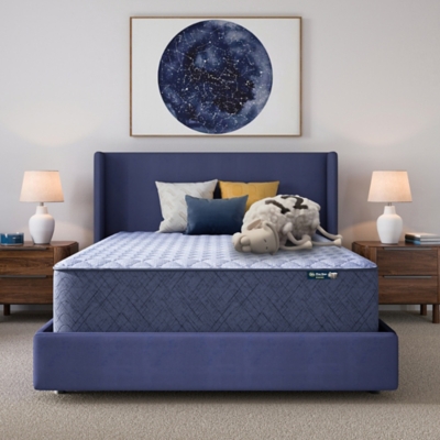 Click here for Serta Perfect Day 14 Firm Twin Mattress prices