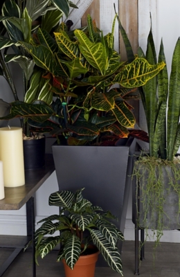 Click here for Bayberry Lane Outdoor Solid Planter (Set of 3)  Gr... prices