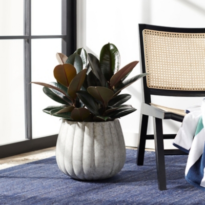 Click here for Safavieh Kaston Outdoor Planter  Light Gray prices