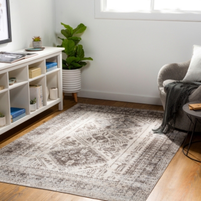 Click here for Livabliss Lavadora Washable Traditional Rug  Gray prices