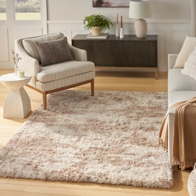 Click here for Nourison Home Dreamy Shag 5 x 7 Area Rug  Ivory/Da... prices