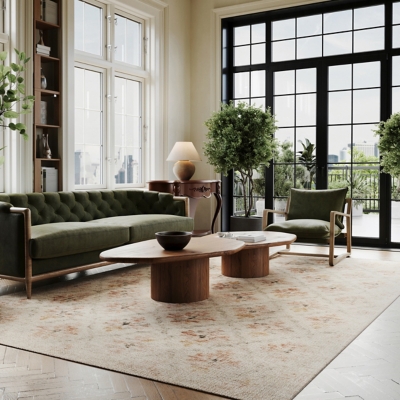 Click here for Padma Lakshmi x Rugs USA Elizabeth 5 x 8 Area Rug... prices