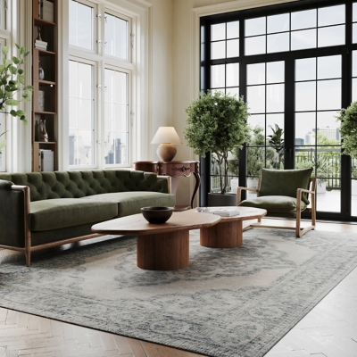 Click here for Padma Lakshmi x Rugs USA Istanbul 4 x 6 Area Rug... prices