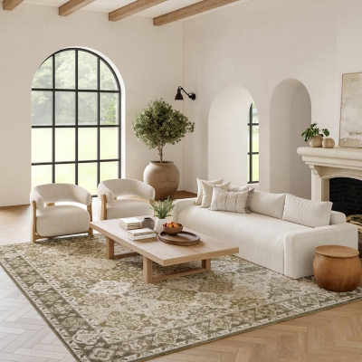 Click here for Nourison Home Grafix 7 x 10 Area Rug  Green prices